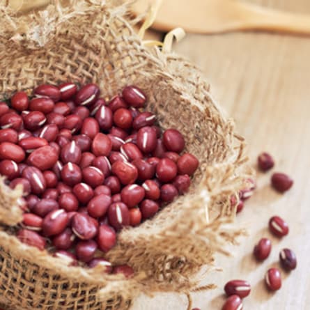 Die Azukibohne | empiricus