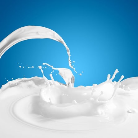 Milch – UHT, Past - was ist gesünder? | familleSuisse