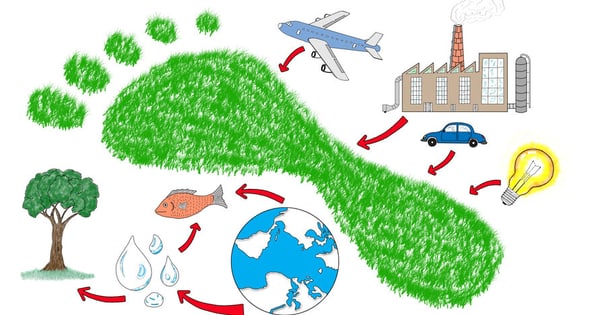 Eaternity – die Zukunft der nachhaltigen Ernährung | familleSuisse