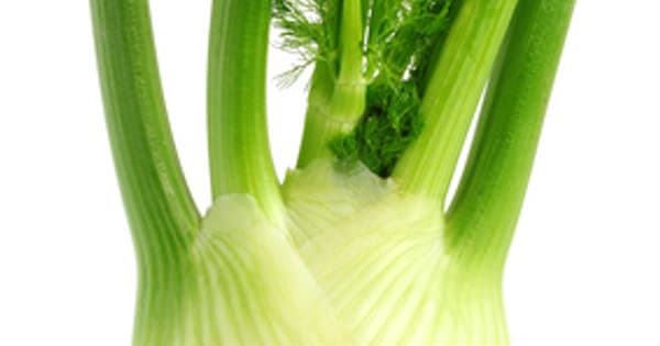 Der Fenchel | empiricus