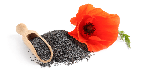 Mohn, der nussige Samen mit Biss | familleSuisse