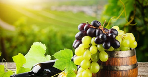 Die Trauben | familleSuisse