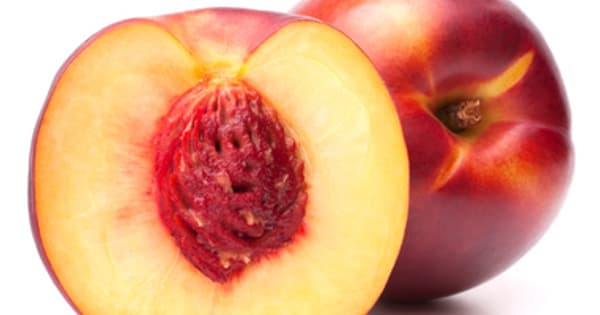 Die Nektarine | familleSuisse