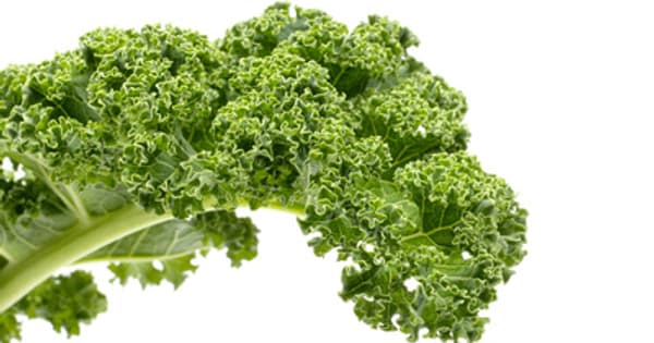 Der Federkohl | familleSuisse