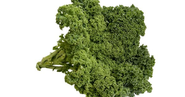 Federkohl – einer der Superfoods | empiricus