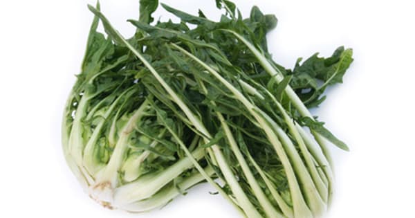 Die Catalogna | familleSuisse