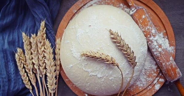 Hefe – ein Pilz verhilft Ihrem Gebäck zu Luftigkeit | empiricus